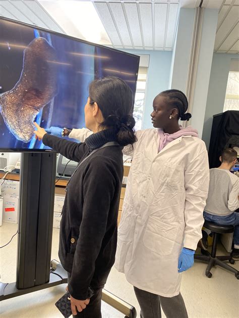 Bridging Disciplines Impacts Of Environmental Chemicals On Physiology And Health 2025 Mdi