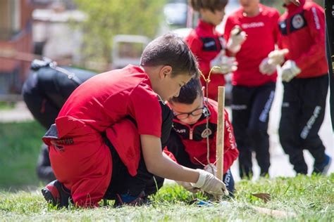 В Международния ден на Земята деца засадиха над 100 дръвчета в Мездра снимки