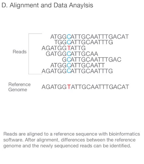 Mengenal Teknologi Next Generation Sequencing Dan Aplikasinya Pandu Biosains