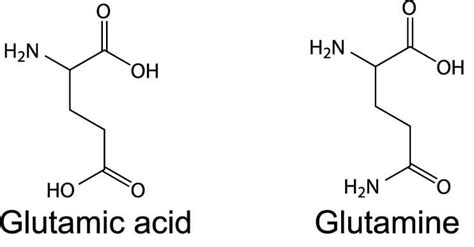 Glutamate Structure
