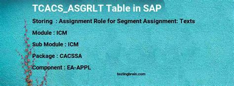 TCACS ASGRLT SAP Table For Assignment Role For Segment Assignment Texts
