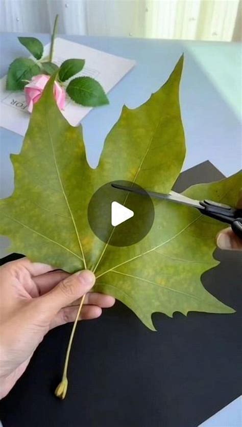 Creative Leaf Art Ideas For Stunning Diy Projects Leaf Crafts Diy