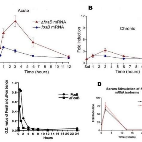 Some Experimental Results For The Measurement Of Fosb And ∆fosb Mrnas