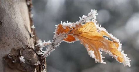 Најавен првиот снег Еве какво време ќе имаме денеска и викендов Skopjeinfo Mk