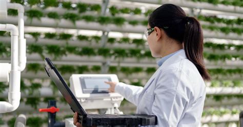 Navigating The Advance Of Automation In Agriculture L E K Consulting