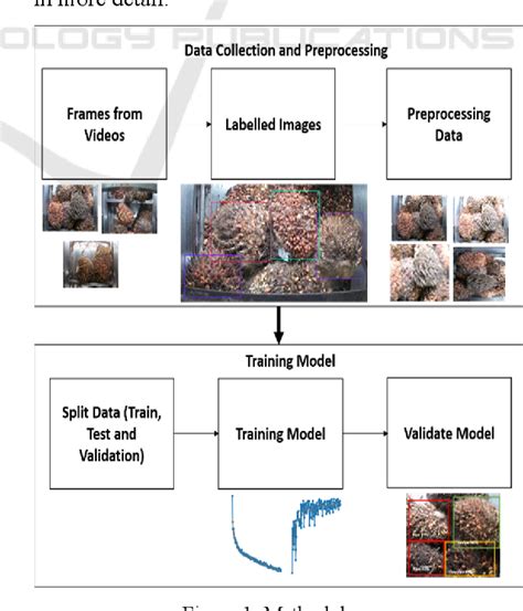Figure 1 From Deep Learning Model To Predict The Ripeness Of Oil Palm Fruit Semantic Scholar