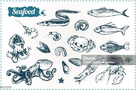 해산물 벡터 스케치 설정합니다 바다 물고기 문 어 새우 랍스터와 장 어 흰색 배경에 고립의 그려진된 낙서를 손 빈티지 요리 책 또는 메뉴 디자인 요소 판화 제작물에 대한