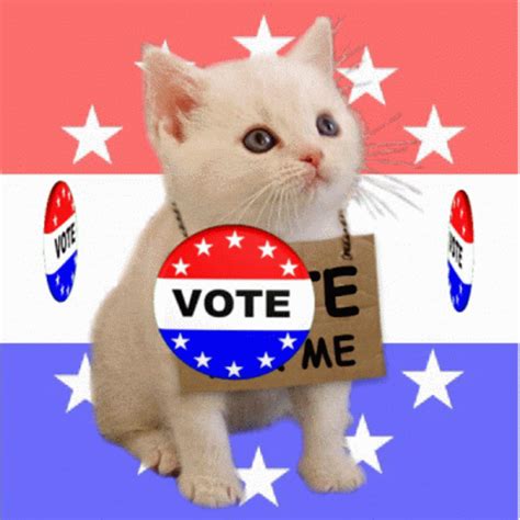 Vote For Pedro Speech S Tenor