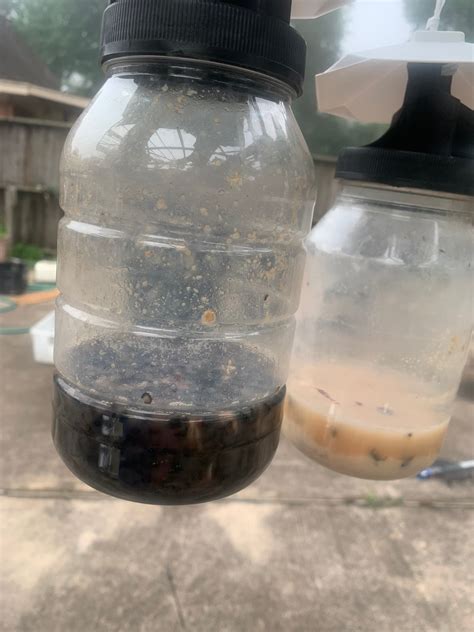 Mosquito Fly And Others Insect Control An Optical Method Science And Measurement Arduino