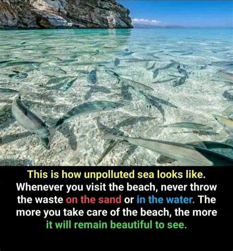 Loveth Ossai On Linkedin Happytuesday Beautifulnature