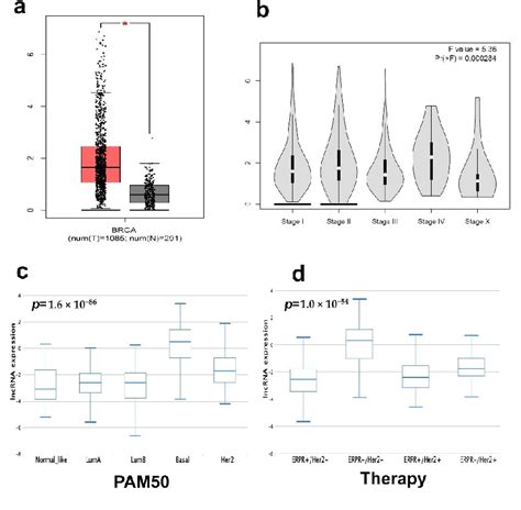 Figure 6 From Lncrna Based Classification Of Triple Negative Breast