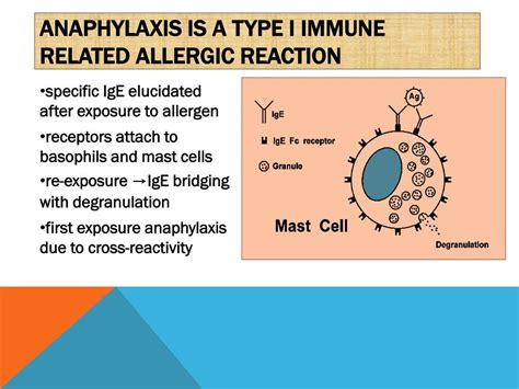 Ppt Perioperative Anaphylaxis A Brief Review Powerpoint Presentation Id 3377190