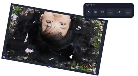 How To Rotate A Picture On PC IPone Android Online