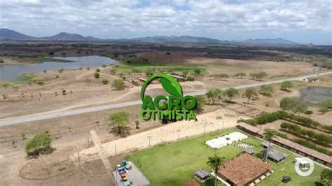 Fazenda Boisa Agro Otimista 300723 Youtube