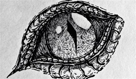 Dragon Eye Pencil Drawing At Explore Collection Of