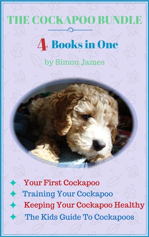 Cockapoo Rescue Cockapoo For Life