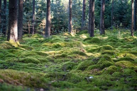 Festo Lietuva On Linkedin Festo Takeitfesto Teambuilding