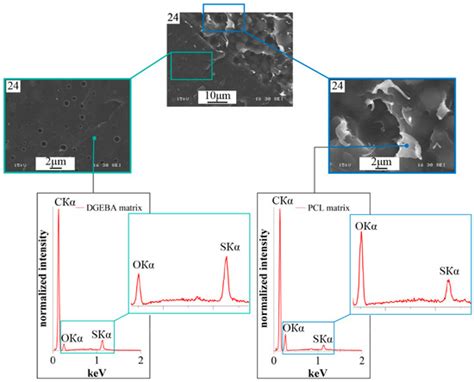 Polymers Special Issue Polymer Functionalization Modification