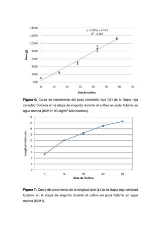 Crecimiento Y Supervivencia De Tilapia Roja HÍbrida Oreochromis Spp