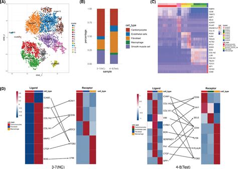 Cell Clustering And Cellular Crosstalk Analysis A Tsne Download