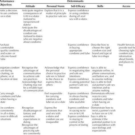Selected Examples Of Matrix Of Program Objectives For E Daters Download Table