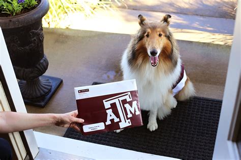 Anna Annakrum Twitter