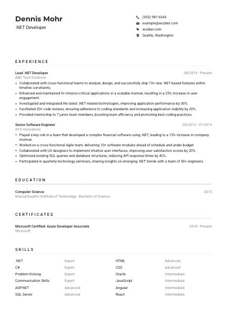 Net Developer Cv Example