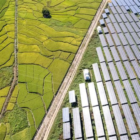 Sustainable Decisiveness Pwc