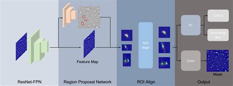 Github Joanne Pylin Vivo Cell Segmentation Through Deep Learning