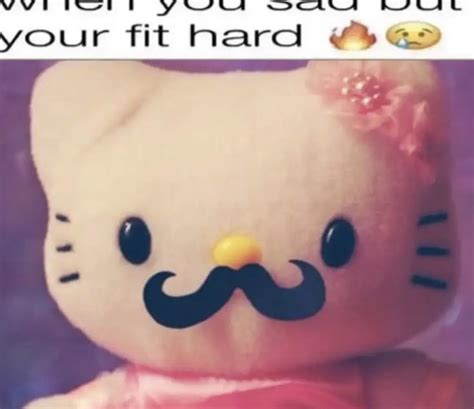 Pin By ⠀ On ㅤ Hello Kitty Silly Pictures Kitty