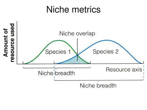 Ppt Our Ecological Footprint 1 6… Powerpoint Presentation Free