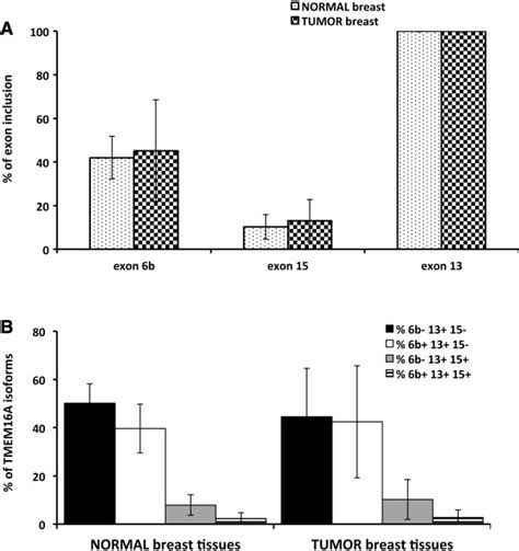 Tmem16a Alternative Splicing In Human Normal And Cancer Breast Tissues Download Scientific