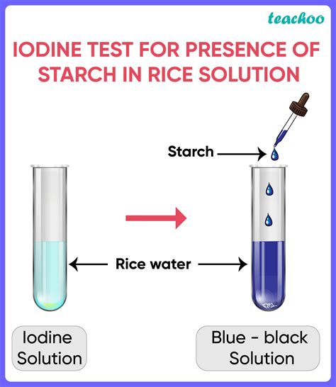 Is Iodine An Indicator At Sara Huff Blog
