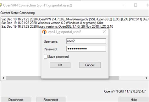 Opnsense Openvpn Remote Access Client Configuration In Windows Global Security And Marketing