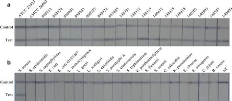 Specificity Of The Rpa Lf Assay A Specificity Of Rpa Lf Using 19