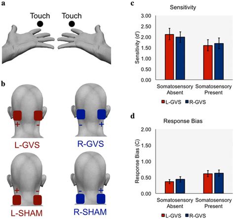 Experimental Procedure And Results A Somatosensory Vibrotactile Download Scientific Diagram