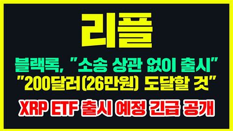 블랙록 소송 상관 없이 출시 리플 200달러26만원 도달할 것 Xrp Etf 출시 예정 긴급 공개 리플 리플전망