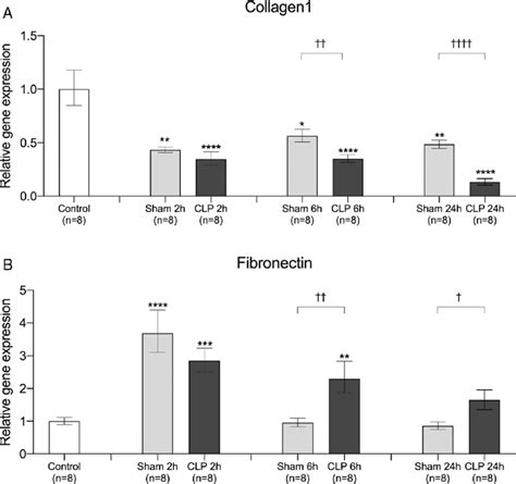 Relative Collagen1 And Fibronectin Gene Expression In The Lungs During