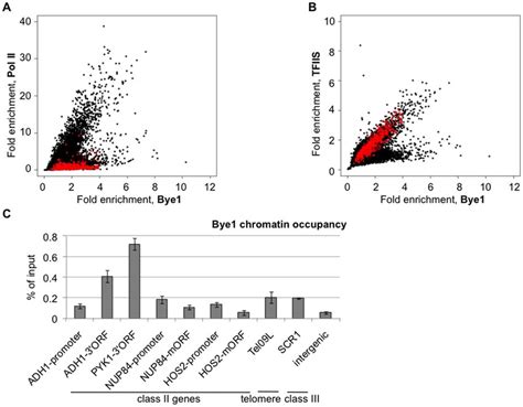 Analysis Of Bye1 Tfiis And Pol Ii Chromatin Occupancies In Yeast A