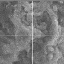 SEM Micrographs From Left To Right A Pristine SiO 2 B SiO 2 Download Scientific Diagram