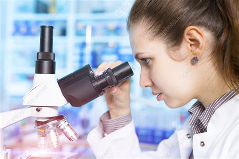 Lab Assistant Using Microscope Stock Image F0114382 Science Photo Library