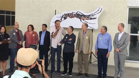 Apresentar à População Detalhes Sobre O Mosquito Transmissor Da Dengue Zika E Chikungunya é O