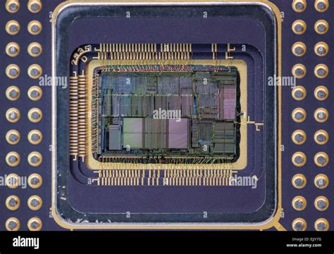 Close Up Of An Opened Intel 80486dx I486 Microprocessor One Of The