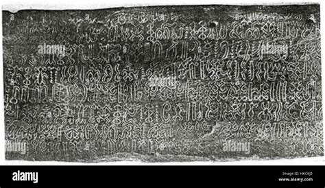 This Image Shows A Rubbing Of Rongorongo Script An Ancient Writing