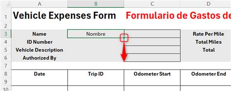 How To Use The Translate And Detectlanguage Functions In Excel