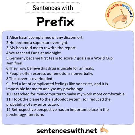 Sentences With Prefix Sentences About Prefix Sentenceswithnet