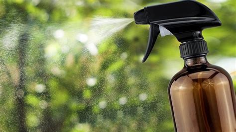 Keep Bugs Away With A Diy Peppermint Spray Cowgirl Magazine