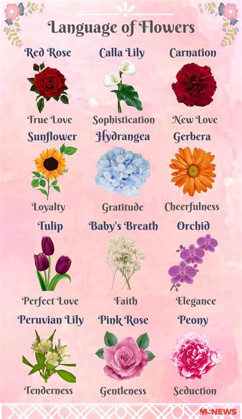 The Best Flower Meanings And Review Estetika Tanaman Bunga Bunga Indah Ide Berkebun