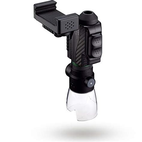 Troubleshooting Wp Json Not Found Error In Wordpress Codecraftwp