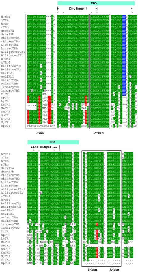 sequence alignment of the dna binding domain dbd of trs there is a